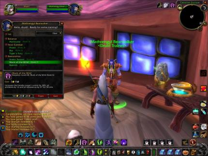 WoW How it was in Classic back then - Raids, PvP, professions, races ...